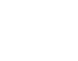 GUTS (spilled) deluxe 2LP splatter version - Olivia Rodrigo | Official ...